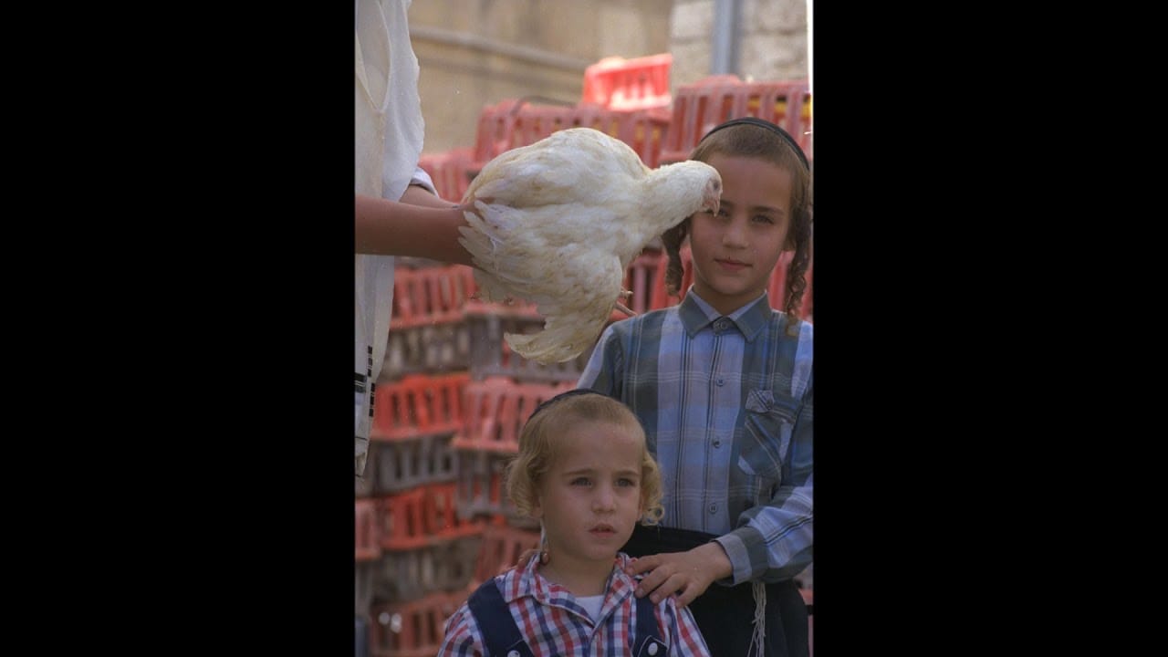 Inside Israel Today: The Case for Unity and the Ritual of Kaparot - The ...